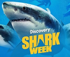 Shark Week – American Fishing Contests